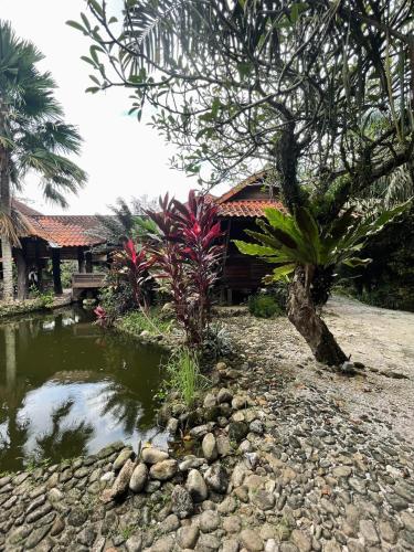 Sahom Valley Resort - Agro & Eco Park, Kampar (updated prices 2025)