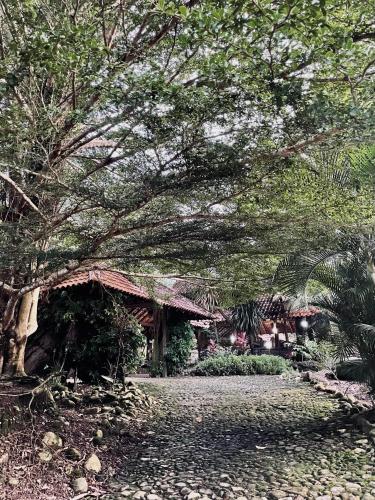 Sahom Valley Resort - Agro & Eco Park, Kampar (updated prices 2025)