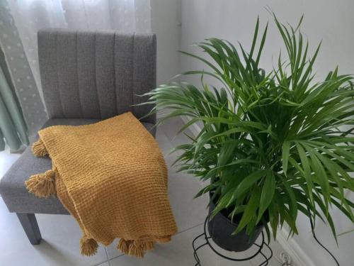 Beautiful, cozy apt with pool, Kingston (updated prices 2024)