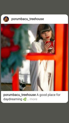Porumbacu Treehouse, Porumbacu de Sus (updated prices 2025)