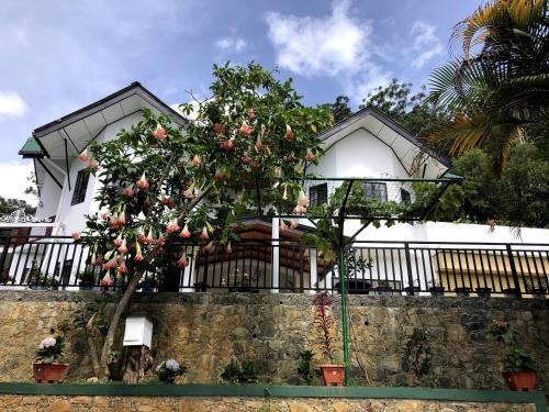 Hill Crest Holiday Bungalow, Diyatalawa (updated prices 2024)