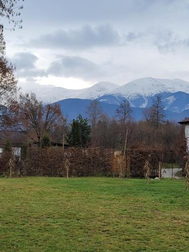 CASA CABUZ, Avrig – Updated 2024 Prices