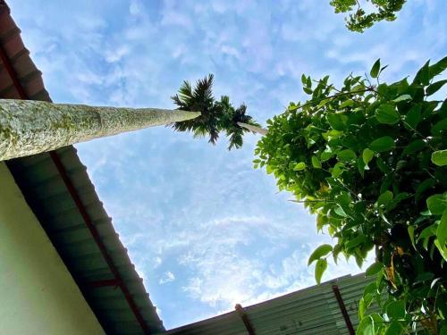 Jetuka - Villa in Sibsagar, Sivasagar – Updated 2023 Prices