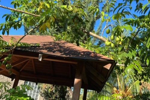 Slice of Paradise, Ocho Rios – Updated 2023 Prices