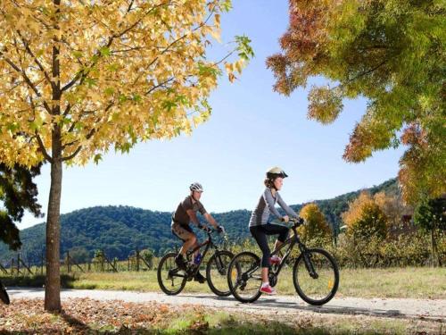Discovery Parks - Bright, Bright (updated prices 2024)