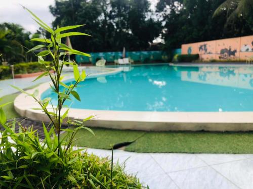 Tea Heaven Resort, Sreemangal – Updated 2023 Prices