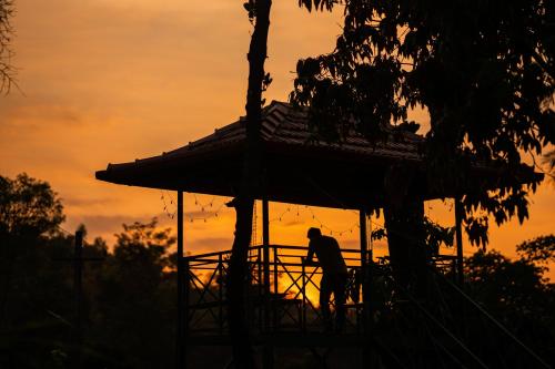 Zostel Coorg, Madikeri, Madikeri (updated prices 2025)
