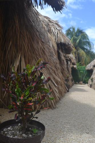 Hakuna Matata Glamping, Bacalar – Updated 2023 Prices