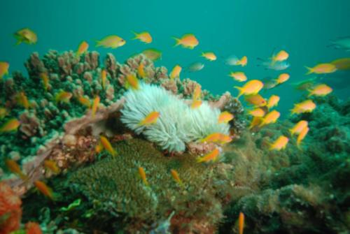 Lantana Galu Beach, Diani Beach (updated prices 2025)