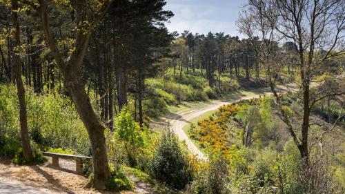 voco Lythe Hill Hotel & Spa by IHG, Haslemere (updated prices 2025)