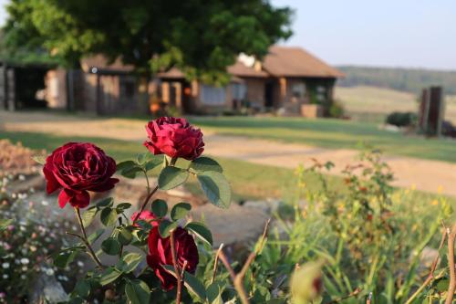 Rocks & Roses Farm stay, Lochiel (updated prices 2025)