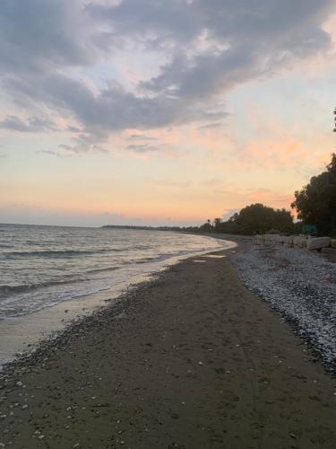 Leonidas Seaside, Meneou (updated prices 2024)