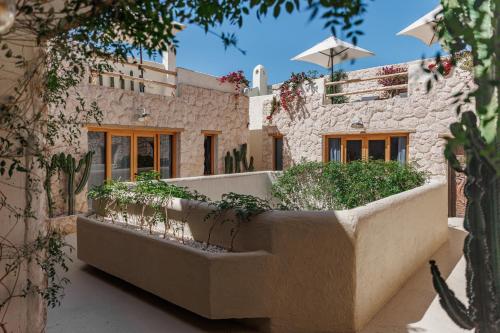 Pure House Marrakech, Marrakech – Updated 2024 Prices