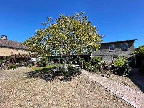 pinocchio pirow, Pirow (updated prices 2024)