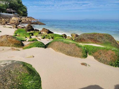 Casa Xula Vallarta, Puerto Vallarta (updated prices 2025)