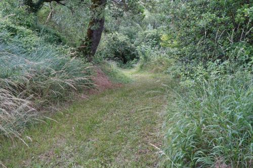 Chateau de la Segue, Fauroux (updated prices 2025)