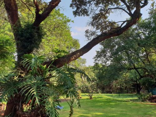 Thathe Dam Lodge, Vhutandabos (updated prices 2025)