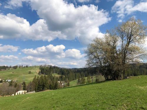 Bystre DOMKI, Nowe Bystre (updated prices 2025)