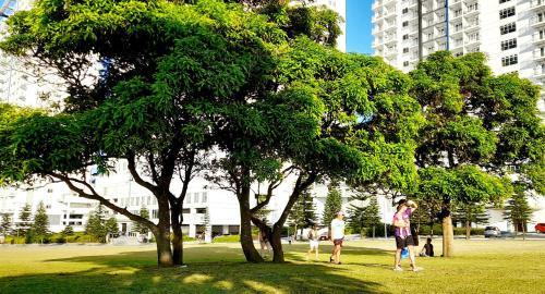 Family Space in Tagaytay- Value for Money, Tagaytay – Updated 2023 Prices