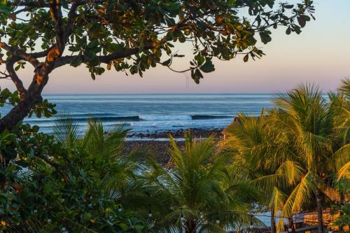Puro Surf Hotel & Performance Academy, El Zonte (updated prices 2025)