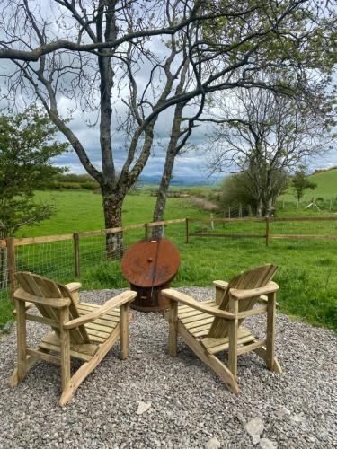 Silver Fern Glamping, Aberystwyth (updated prices 2024)