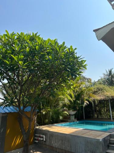VALLEY VIEW VILLA, Neral (updated prices 2024)