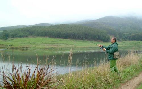 Rockwood Karkloof Farm House and Farm Cottage, Howick (updated prices 2025)