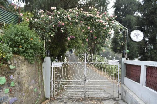 11 Monteviot: Luxury homestay overlooking a tea estate, Kurseong ...