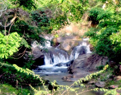 Mae Sa Valley Farm Stay Resort, Ban Mae Mae (updated prices 2025)