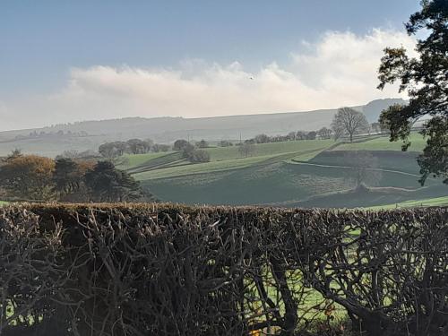 The Dolfor Inn, Newtown – Updated 2023 Prices