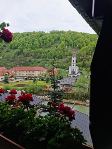 Pastravaria Rin, Romuli (prețuri actualizate 2024)