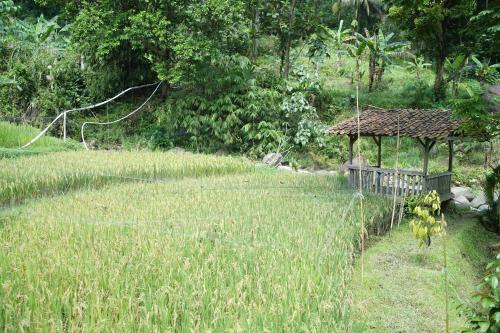 Tirta Arsanta Hot Springs & Villa, Bogor – Updated 2023 Prices