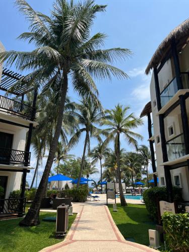 The Reef Playacar Beach Resort & Spa-Optional All Inclusive, Playa del ...