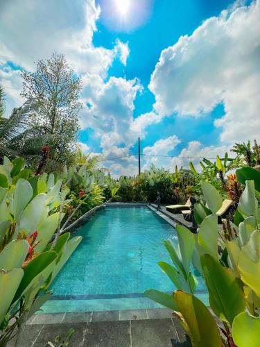 Paddy House Ubud, Ubud (updated prices 2024)