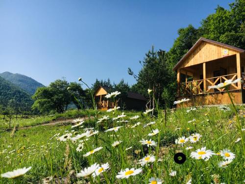 Eco Park Resort in Stepanavan, Gyulagarak – Updated 2024 Prices