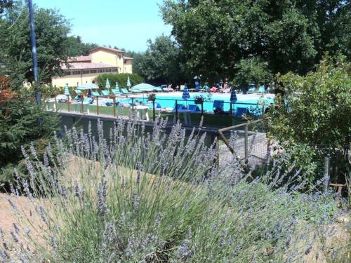 12 Amiata Mountain Charm Pool, Fast Wi-Fi, Free Parking, Castel del ...