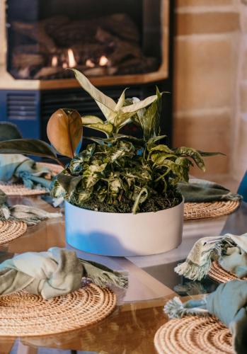 The Rose Turret, Warrnambool (updated prices 2025)