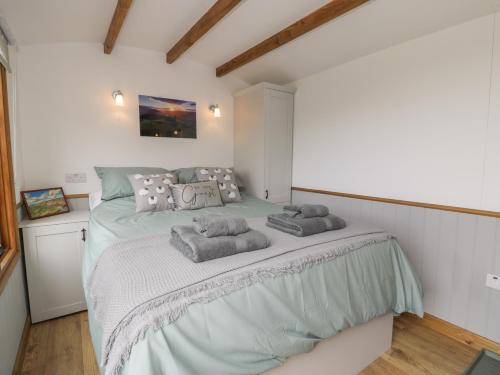 Tan Y Castell Shepherds Hut, Llangollen (updated prices 2024)