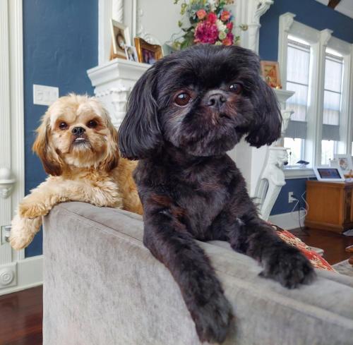 The Kenwood Gables, St. Petersburg – Updated 2024 Prices