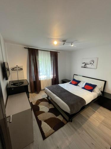 Tremil, Borsa (updated prices 2024)