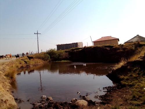 Tshezi Family, Ngqeleni (updated prices 2024)