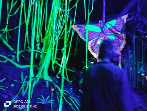 Lojing Highlands Campervan & Basecamp, Ladang Pangoi (updated prices 2024)