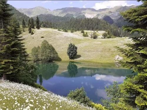 Hotel Voisa/სასტუმრო ვოისა, Batumi – Updated 2023 Prices