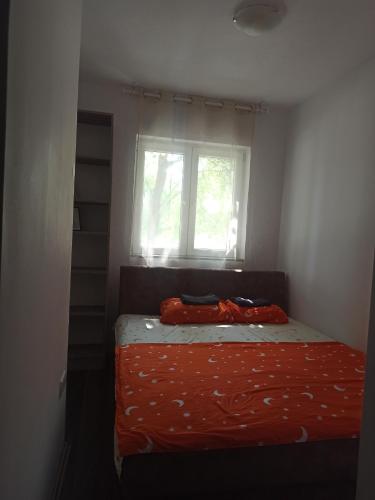 Studio 43, Belgrade (updated prices 2025)