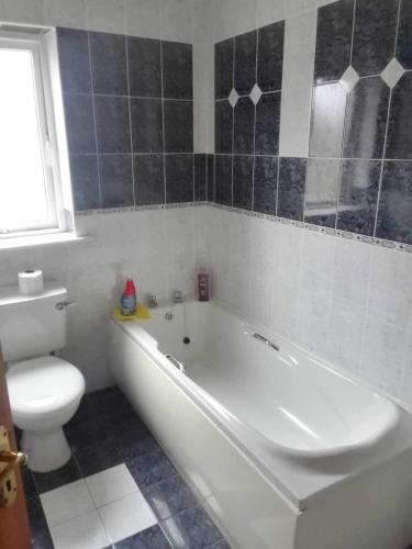 Explore Kerry and the wild Atlantic way, Lixnaw – Updated 2024 Prices