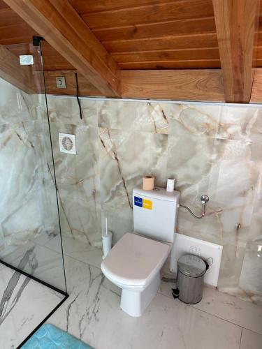 Casa moderna in Sinteu - intersectia intre modern si linistea naturii ...