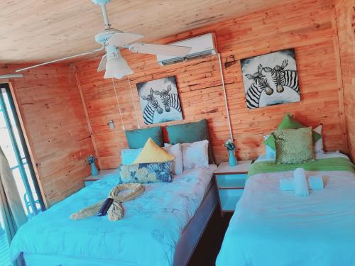 Igula lodge, Mkuze (updated prices 2024)