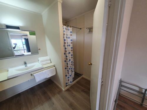 Ascot Epsom Motel, Auckland (updated prices 2024)