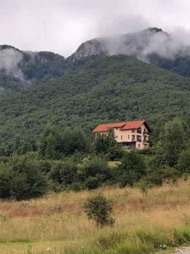 Top House cozy stay, Zărneşti (updated prices 2025)