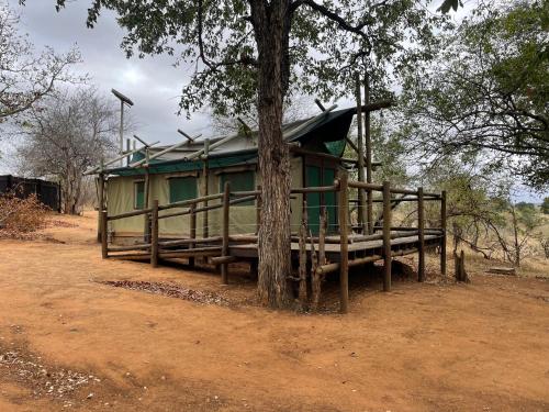 Zambalile @Letaba Ranch, Letaba Wildlife Reserve (updated prices 2024)